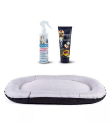 Šunų guolis | Fera.lt